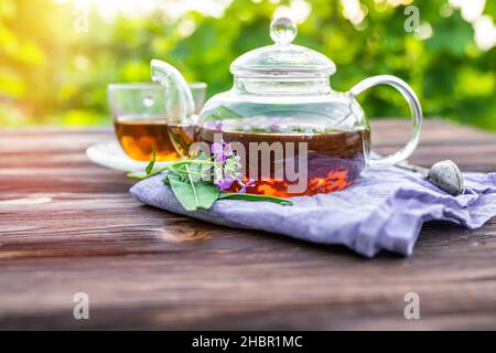 Keeping fresh medicinal herbs in the jar. Matthiola incana, Brompton ...