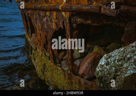 The long forgotten and abandoned SS Daisy, a trawler for the British ...