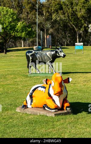 Cows in the Park Art, Shepparton, Victoria, Australia Stock Photo - Alamy