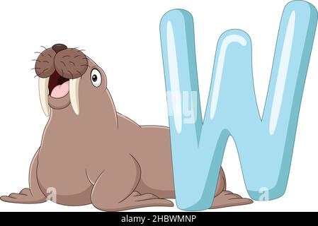 Flashcard letter W is for walrus illustration Stock Vector Image & Art ...