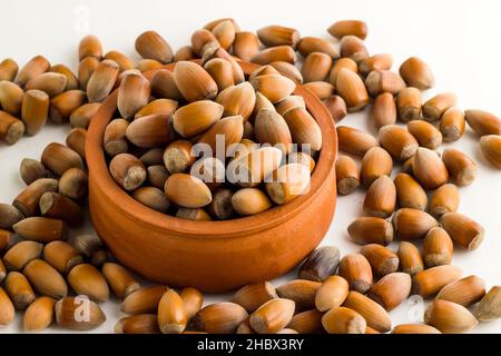 Turkish hazelnuts,from Black Sea Region of Turkey new crop of harvest ...