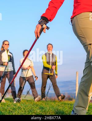People doing relaxed Nordic Walking session at late afternoon Stock ...