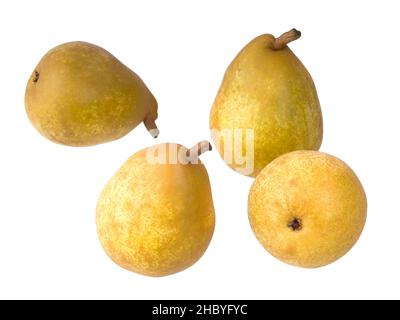 Pear variety Gorham, free-standing Stock Photo - Alamy
