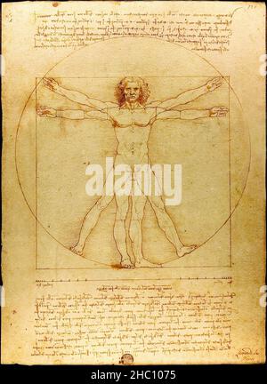 Leonardo Da Vinci - Proportions Human Figure Vitruvian Man 1492 Stock ...
