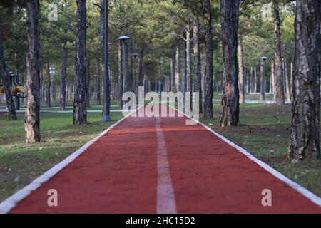 Red treadmill on sport field. Running track on the stadium Stock Photo ...
