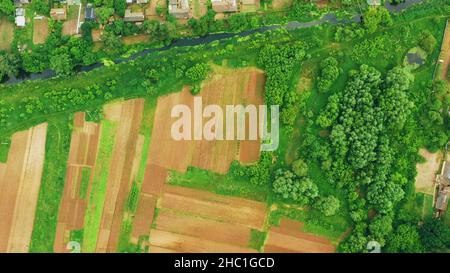 Aerial View Of Vegetable Garden. Potato Plantation At Summer Day ...
