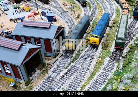 Warship diesel locomotives on a model railway Stock Photo - Alamy
