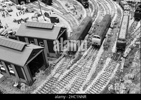 Warship diesel locomotives on a model railway Stock Photo - Alamy