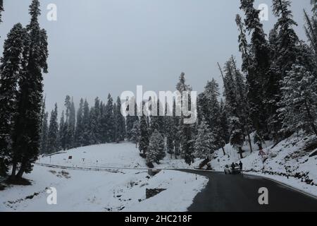 Srinagar, India. 23rd Dec, 2021. Vehicle passes snow covered road amid ...