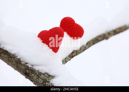 Red hearts on snowy tree branch in winter. Holidays. Happy valentines ...