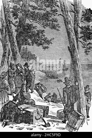 Illustration from The Landing of the Pilgrim Fathers a Victorian ...
