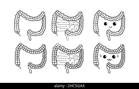 Set of simple gastrointestinal illustrations of bowel internal system ...