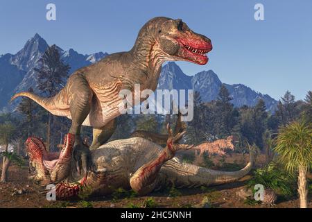 A tyrannosaurus rex or T Rex and triceratops dinosaur fight scene ...