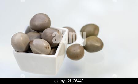 Grey Nickar (Caesalpinia bonduc) seed, washed up on beach strandline ...