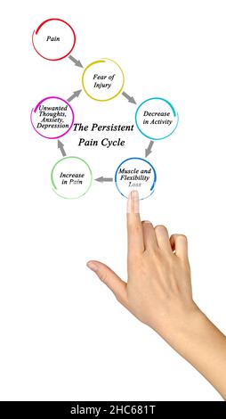 Components of Persistent Pain Cycle Stock Photo - Alamy
