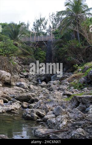 Vertical shot of a river in Barbados during the day Stock Photo - Alamy