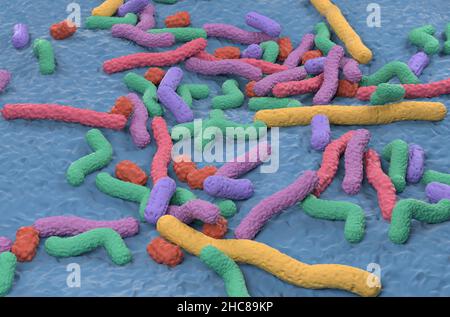 Human small intestine microorganisms Stock Photo - Alamy