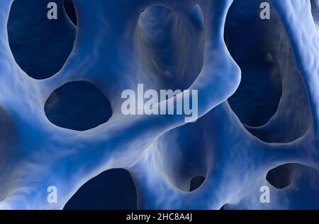 Normal bone structure (healthy bone cortex) - natural material front ...