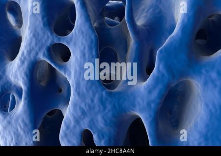 Normal bone structure (healthy bone cortex) - natural material front ...