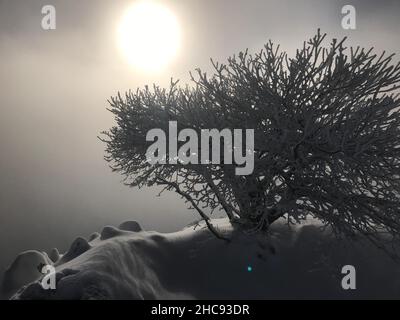 Winter hiking day on Crepoljsko, Sarajevo Stock Photo - Alamy