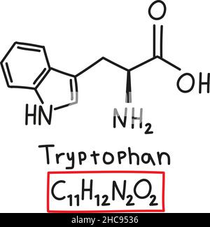 Chemical formula of tryptophan. Essential amino acids. Organic ...