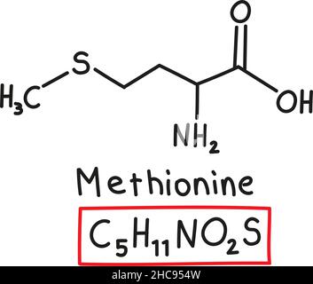 Chemical formula of methionine. Essential amino acids. Organic ...