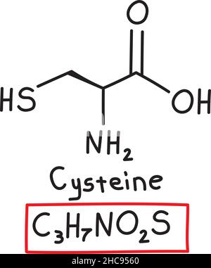 The amino acid Cysteine. Chemical molecular formula Cysteine amino acid ...
