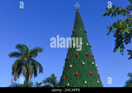 Giant Christmas tree, Merida, Yucatan Mexico Stock Photo - Alamy