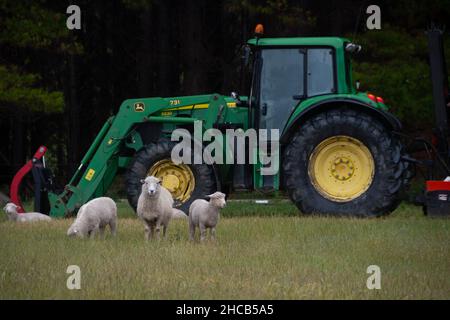 John Deere modern tractor parked in barn ready to drive outside for the ...