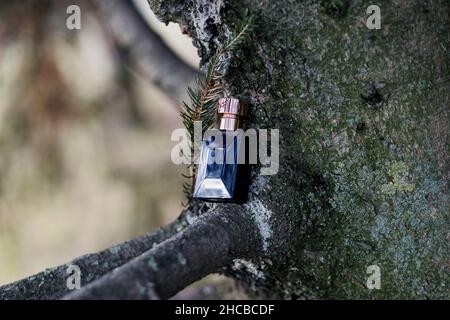 perfume on a tree with a woody natural fragrance Stock Photo - Alamy