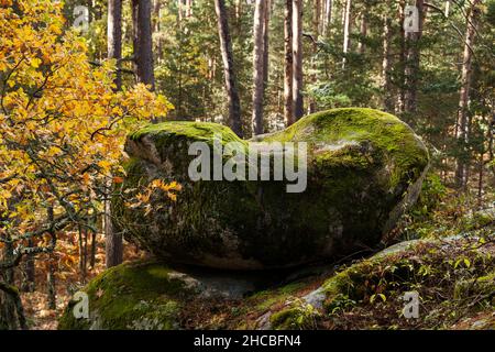 rock covered with moss in the forest on a cloudy day in summer Stock ...