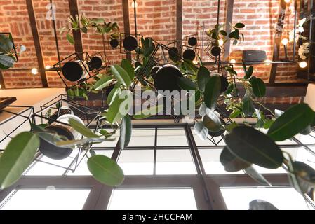 A low angle shot of a ceiling window Stock Photo - Alamy