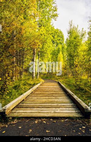 Vertical shot of a small wooden bridge with metal fence Stock Photo - Alamy