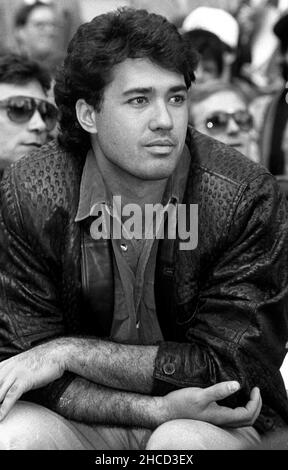 Ron Darling 1986 Photo by John Barrett/PHOTOlink / MediaPunch Stock ...