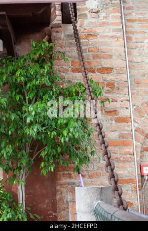 Vertical shot of the one part of Pizzighettone tower decorated with green plants Stock Photo - Alamy
