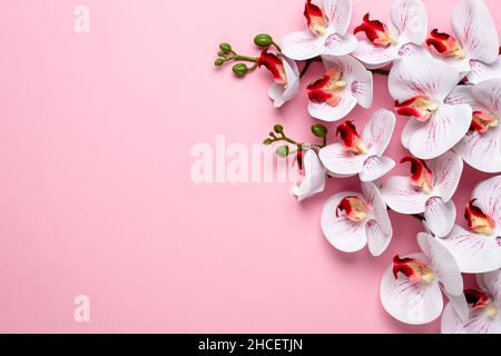 Floral Greeting card template with space for text, 8 march. Fresh ...
