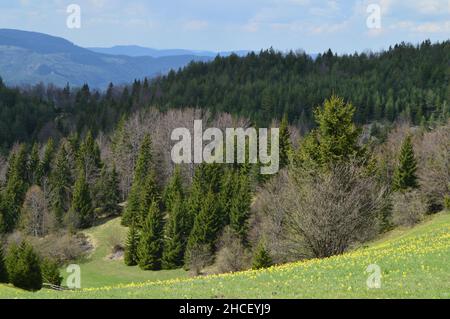 Walking on Bukovik, Sarajevo, Bosnia Stock Photo - Alamy