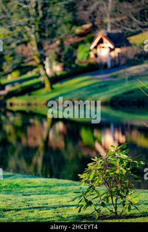 Japanese Zen Garden in Dollar Scotland Stock Photo - Alamy