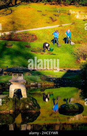 Japanese Zen Garden in Dollar Scotland Stock Photo - Alamy