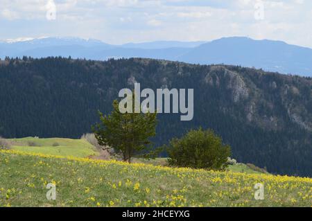 Walking on Bukovik, Sarajevo, Bosnia Stock Photo - Alamy