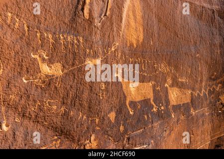 Procession Panel petroglyphs, Comb Ridge area, Bears Ears National ...