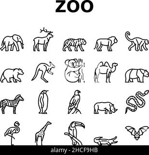 Zoo Animals, Birds And Snakes Vector Seamless Pattern Stock Vector ...