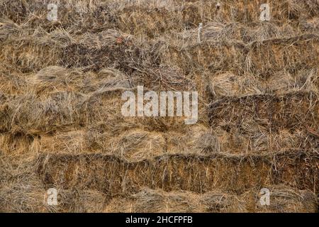 The brown hay on top view for background Stock Photo - Alamy