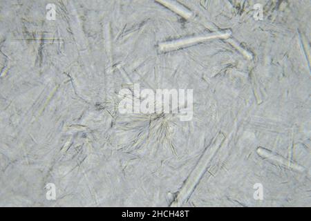 Sugar crystals under the microscope Stock Photo - Alamy