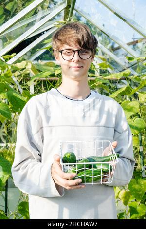 Young man in a greenhouse with cucumbers, harvesting Stock Photo - Alamy