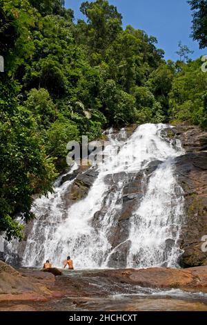 waterfall in forest Stock Photo - Alamy