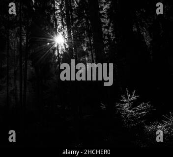 The Kamnitz Gorge, Czech: Soutesky Kamenice, German: Kamnitzklamm or ...