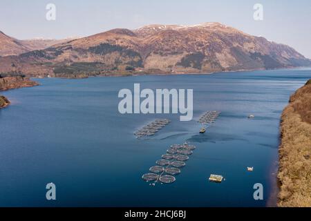 Aquaculture Fish Farm Pens Used to Keep Farmed Fish Stock Photo - Alamy
