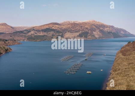 Aquaculture Fish Farm Pens Used to Keep Farmed Fish Stock Photo - Alamy