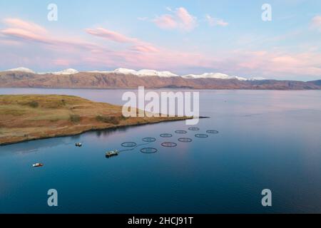 Aquaculture Fish Farm Pens Used to Keep Farmed Fish Stock Photo - Alamy